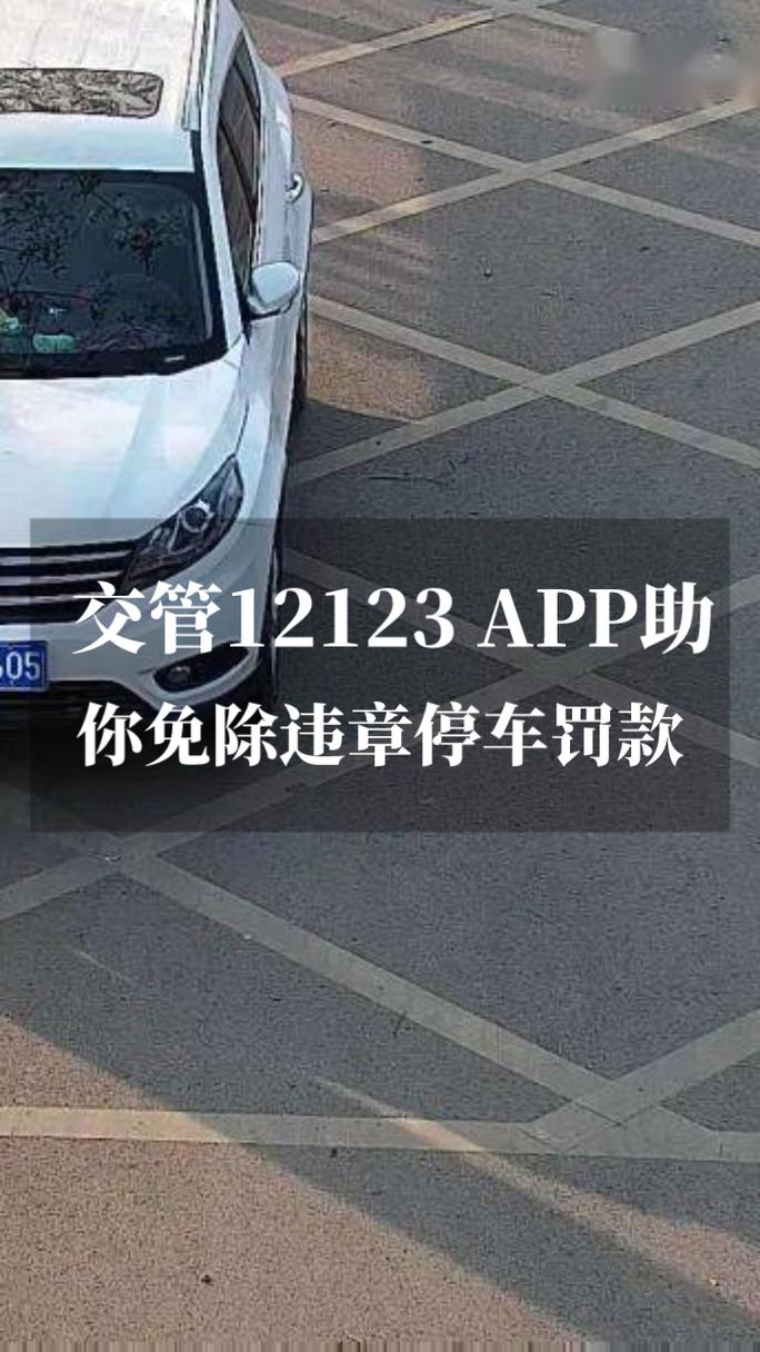 123123违章车辆查询图标