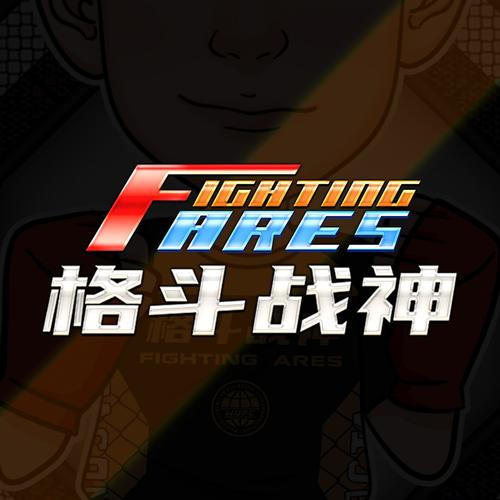 手机单机格斗游戏大盘点 2025最受欢迎的格斗游戏推荐截图