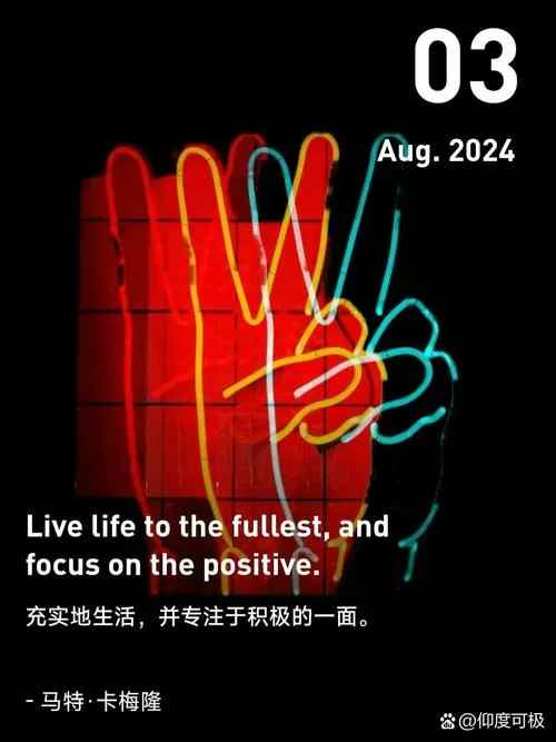 focus on life截图
