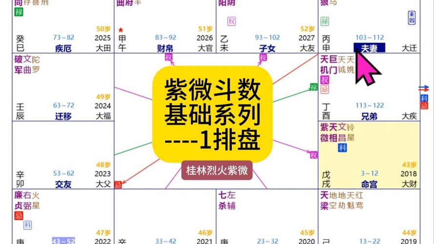 紫微斗数排盘软件