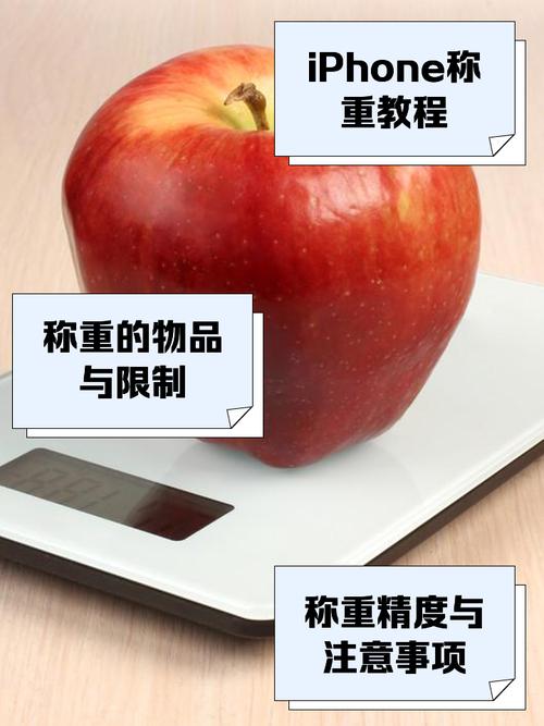 touchscale屏幕电子秤中文版截图