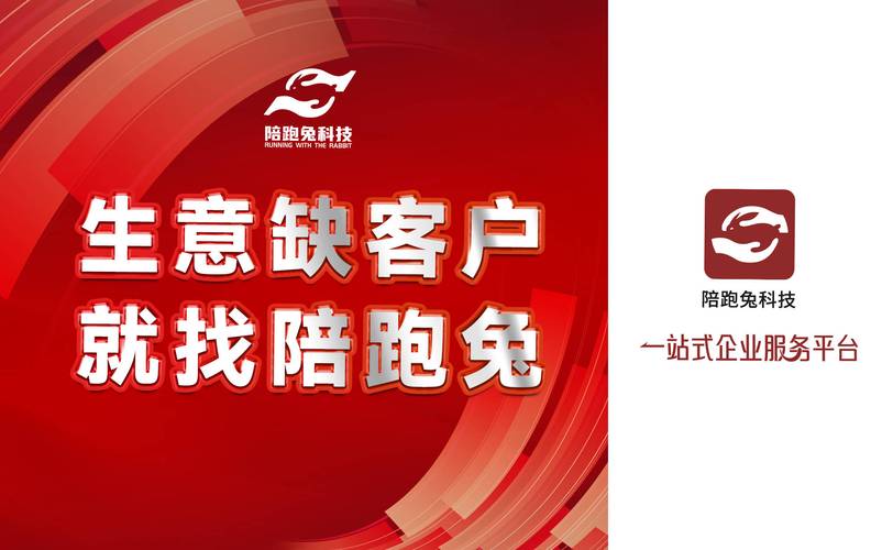 陪跑兔科技app官网版图标