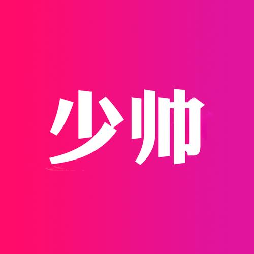 极品少帅截图