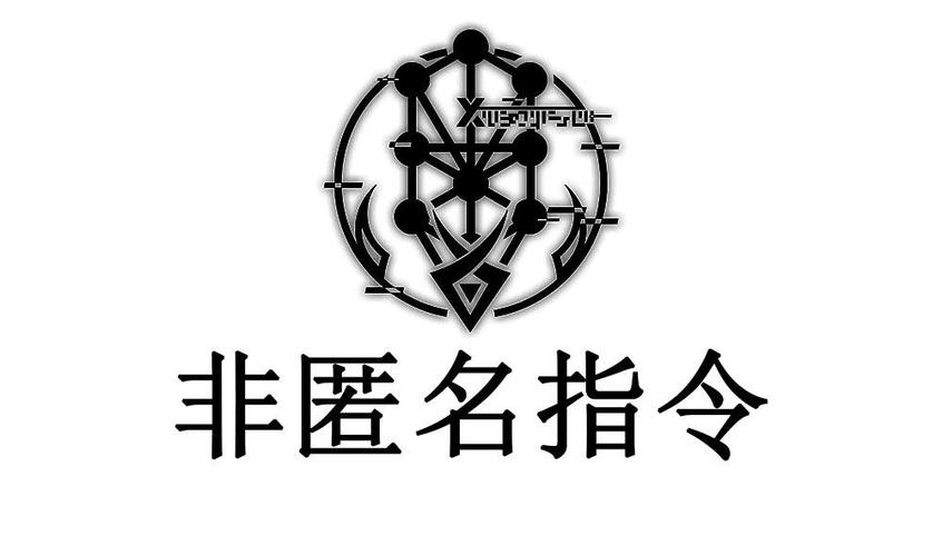非匿名指令截图