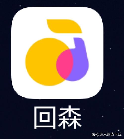 回森app