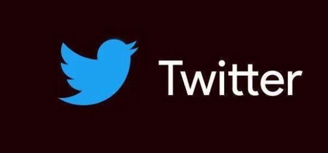 Twitter(X)官方版图标