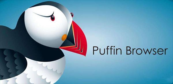 puffin浏览器最新版图标