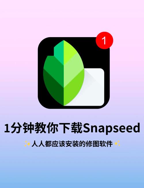 Snapseed中文完整版2024安装图标
