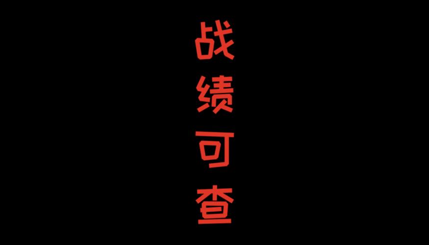 战绩查询截图