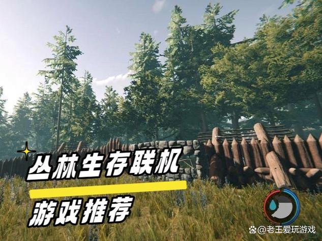 丛林法则游戏
