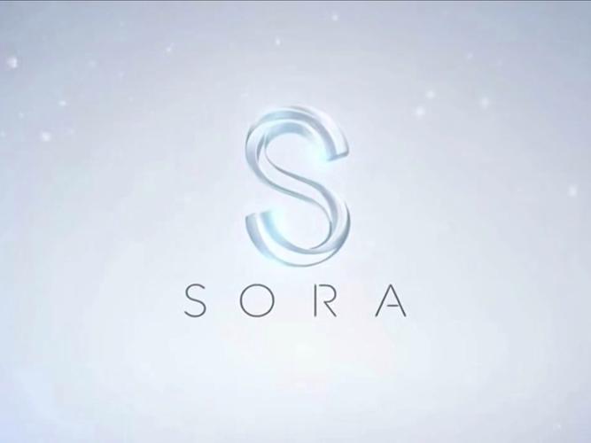 sora2手机版app截图