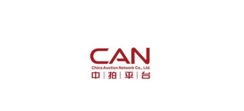 中拍网图标