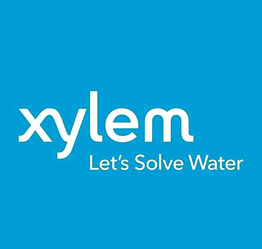 lysn2025截图