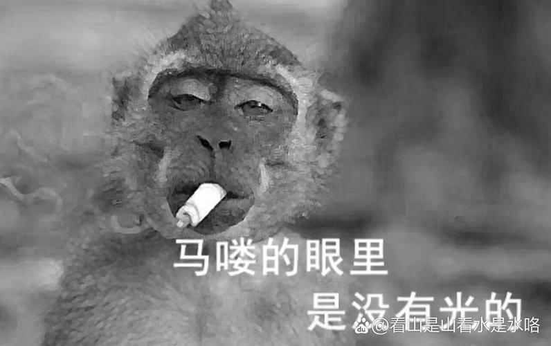 吗喽是什么意思 网络用语吗喽的意思图标