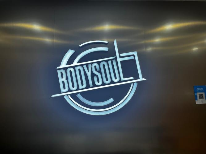 bodyvisualizer安卓版图标