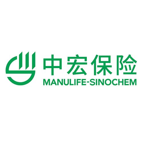 中宏保险图标