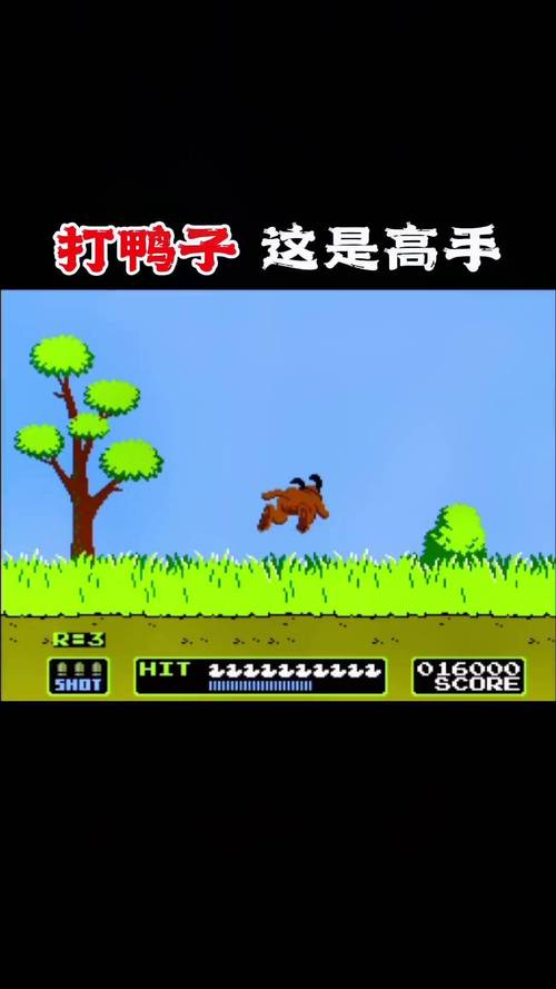 打鸭子游戏