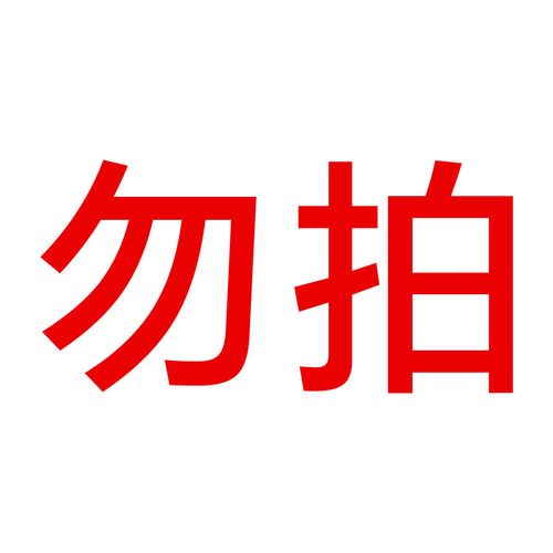 纸飞机怎么登陆教程图标