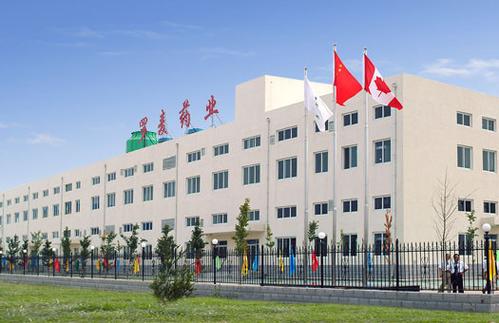 北京罗麦科技有限公司图标