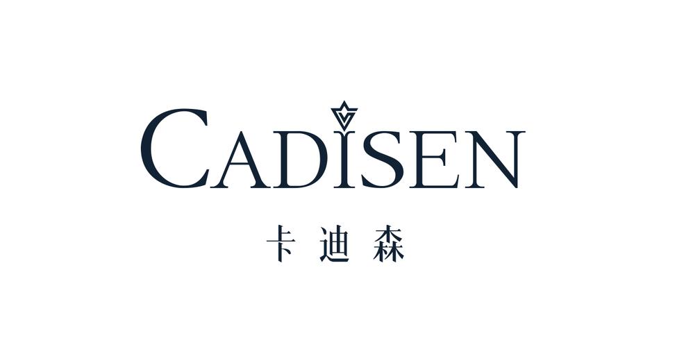 卡迪森截图
