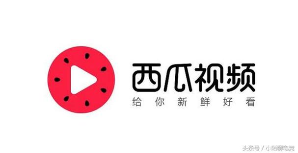 西瓜直播安卓版图标