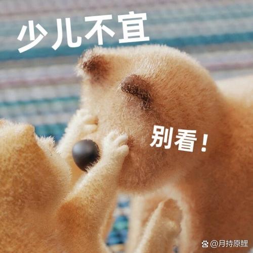 逗别看