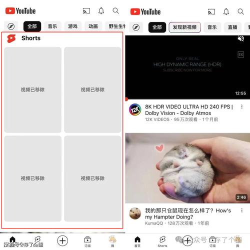 youtube官网版