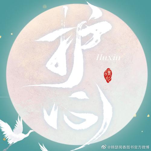 护心小说图标