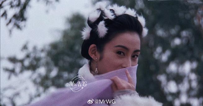 张敏小说截图