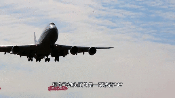 飞机航班动态实时查询