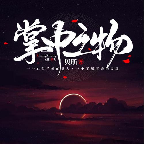 小说掌中之物图标