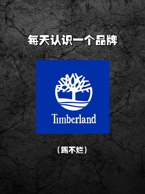 夏之岚截图