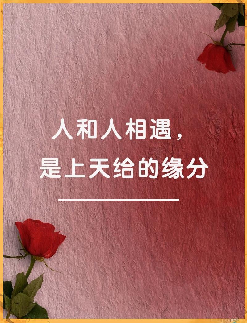 相遇之缘图标