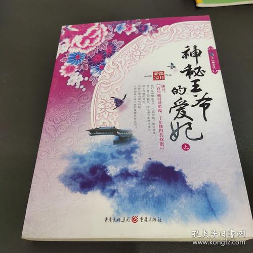 神秘王爷的爱妃图标
