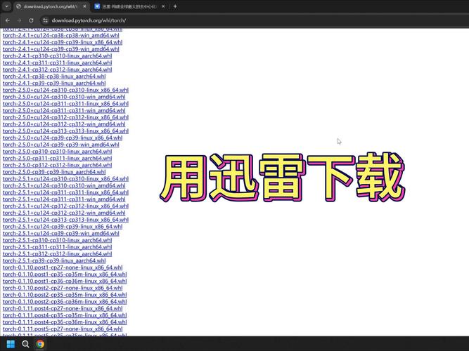迅雷种子下载图标