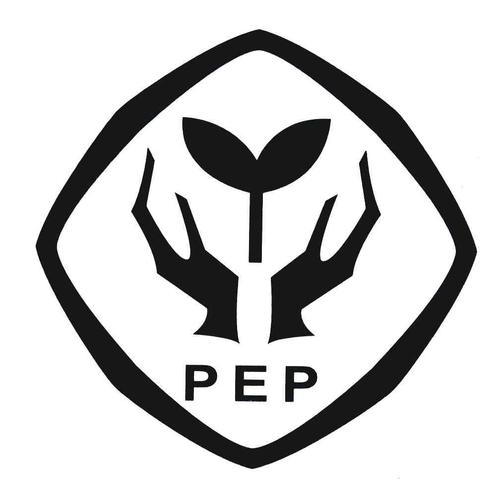 pep截图
