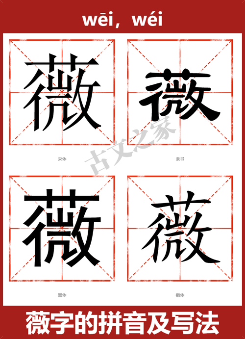 薇字怎么读图标