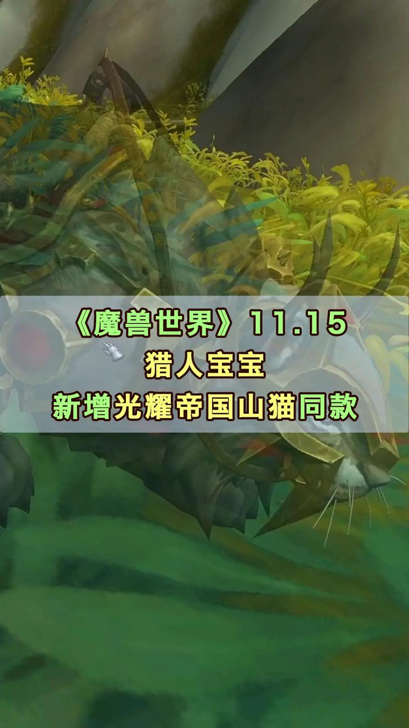 魔兽世界猎人宝宝截图