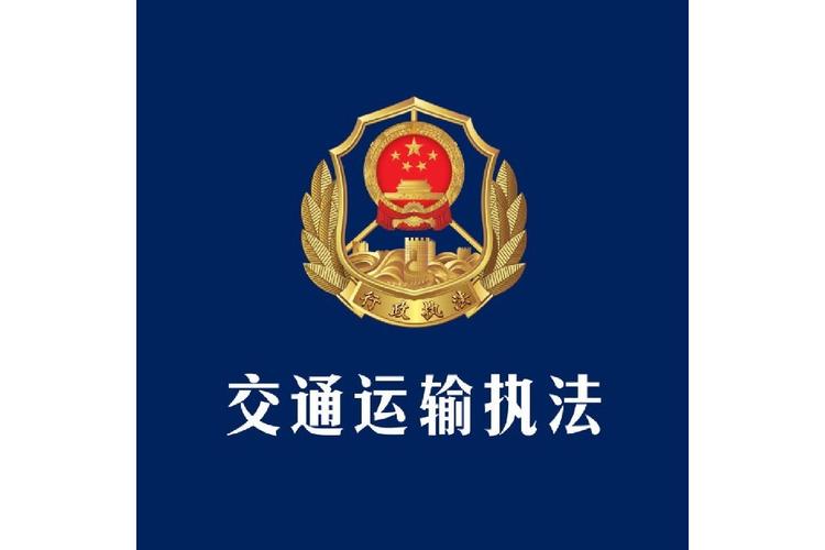 交通执法截图