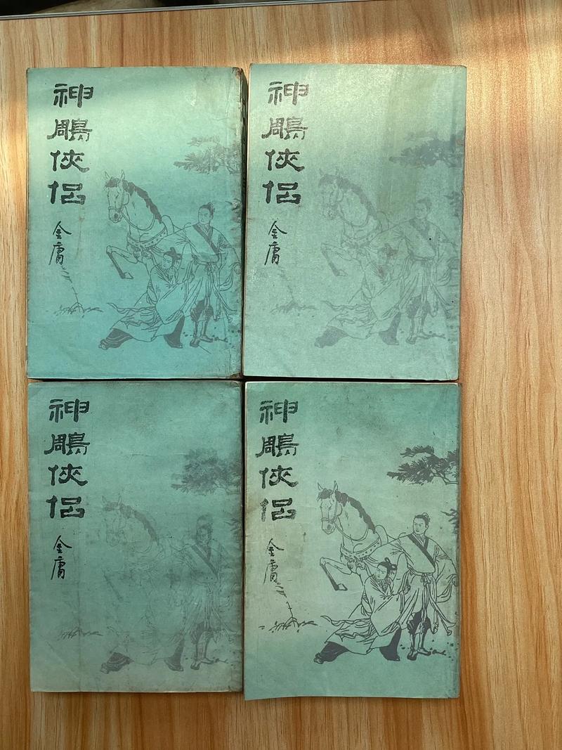 《神雕风云录》小说在线阅读图标