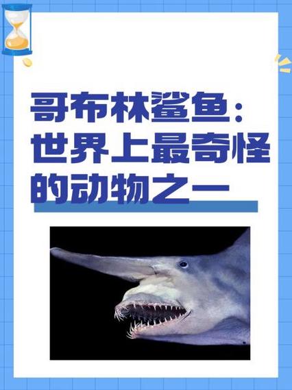哥布林鲨图标