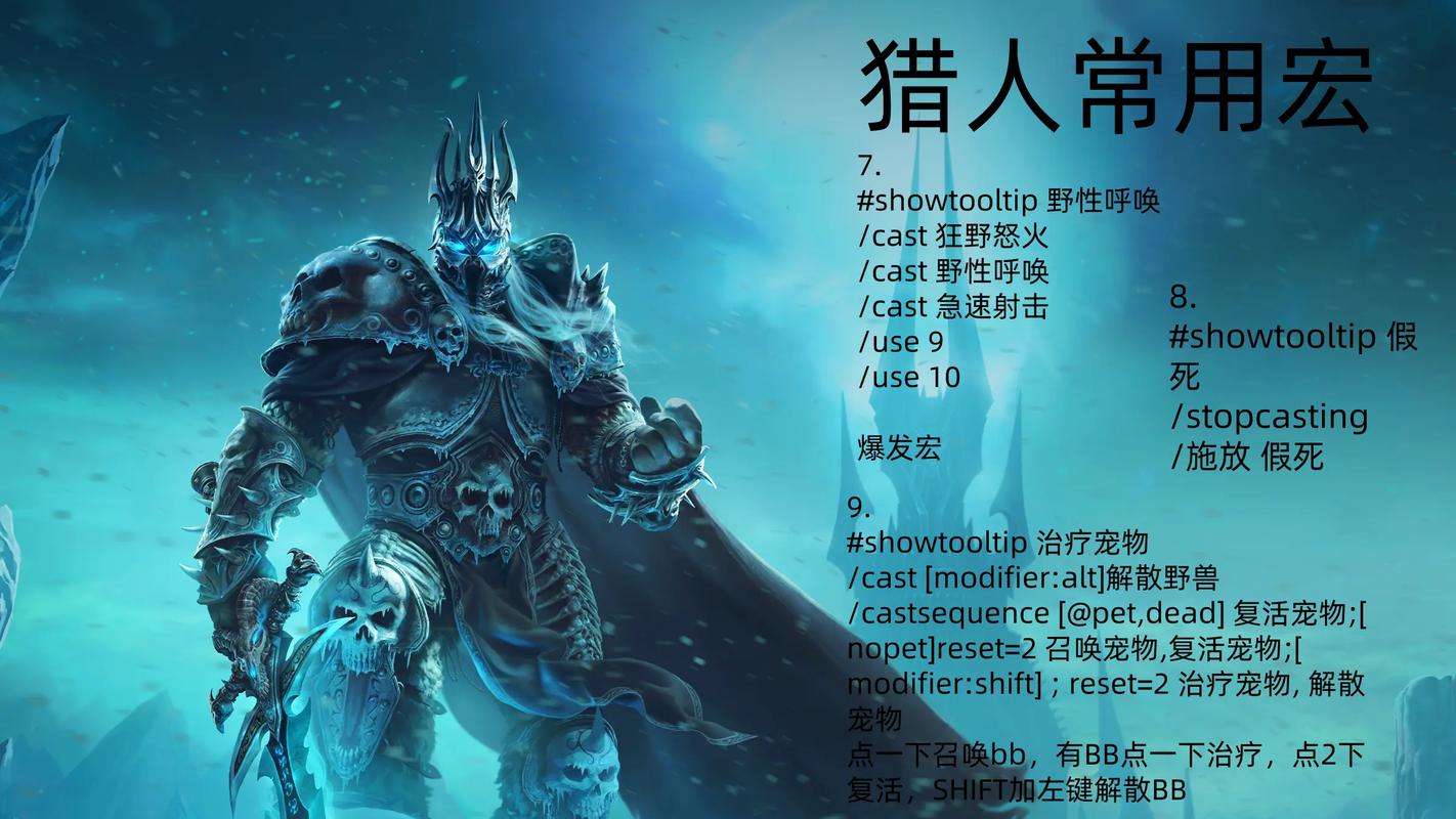 魔兽世界猎人宏图标
