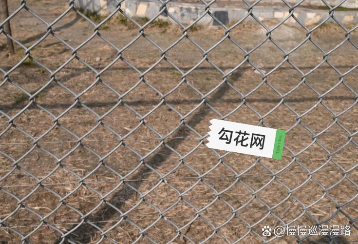 落花网图标