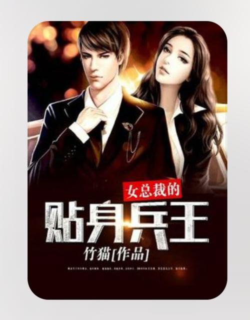 《美女总裁的超级兵王》小说在线阅读