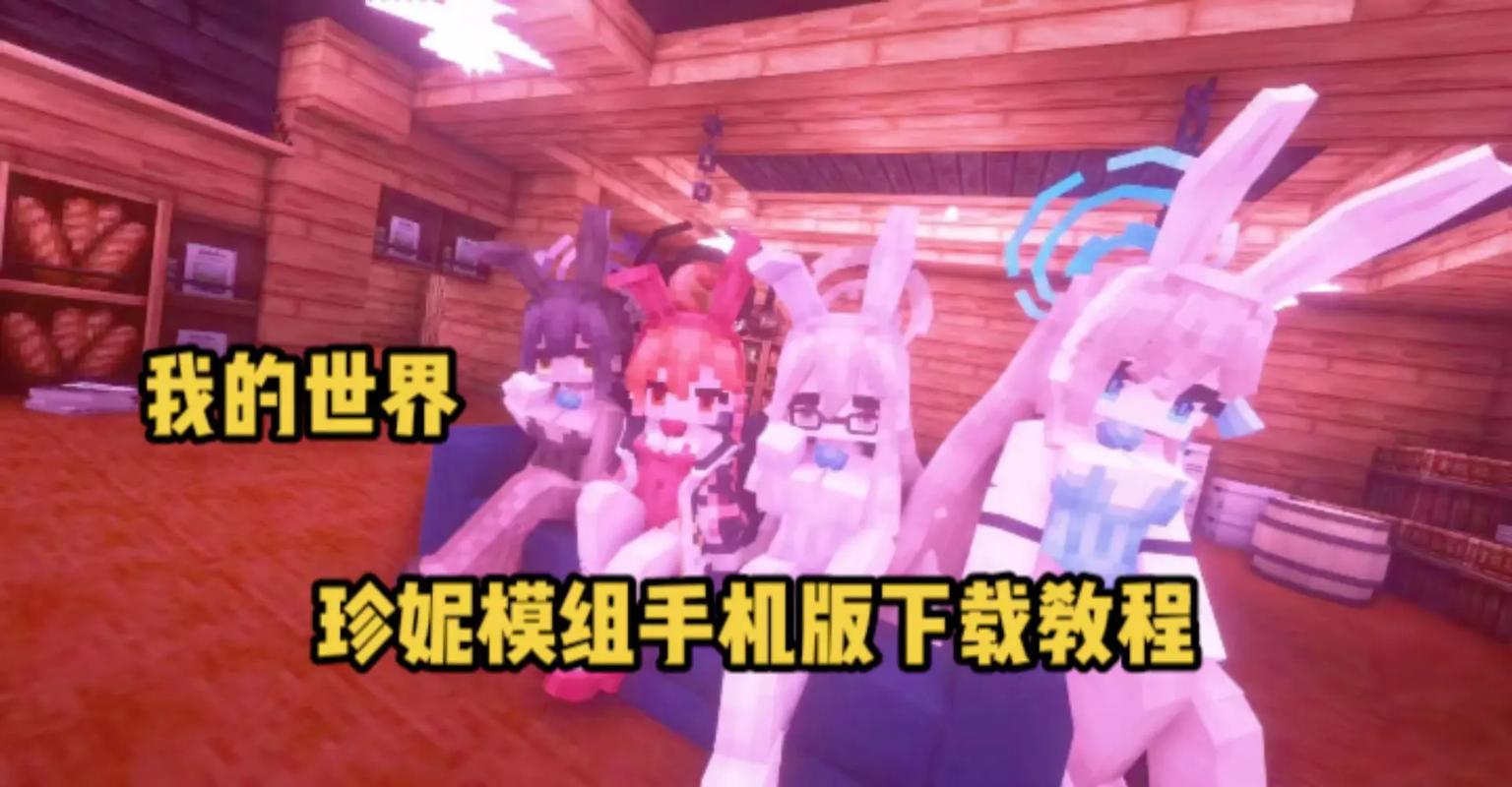 珍妮模组安装包截图