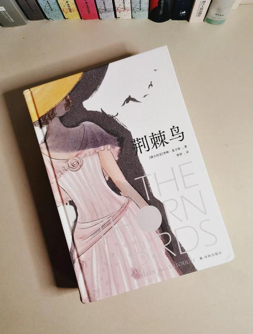 荆棘鸟小说图标