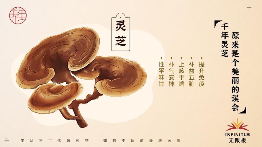 千年灵芝