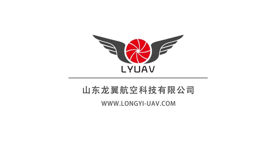 龙翼图标