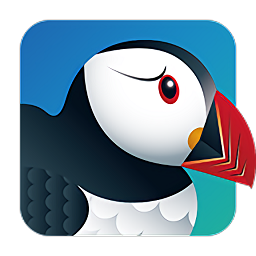 puffin浏览器(PuffinWebBrowser)截图