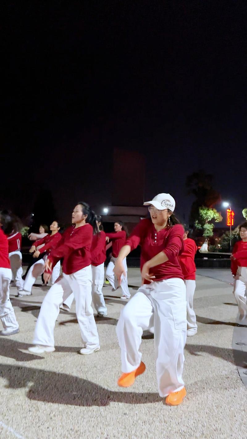 广场舞蹈视频大全图标